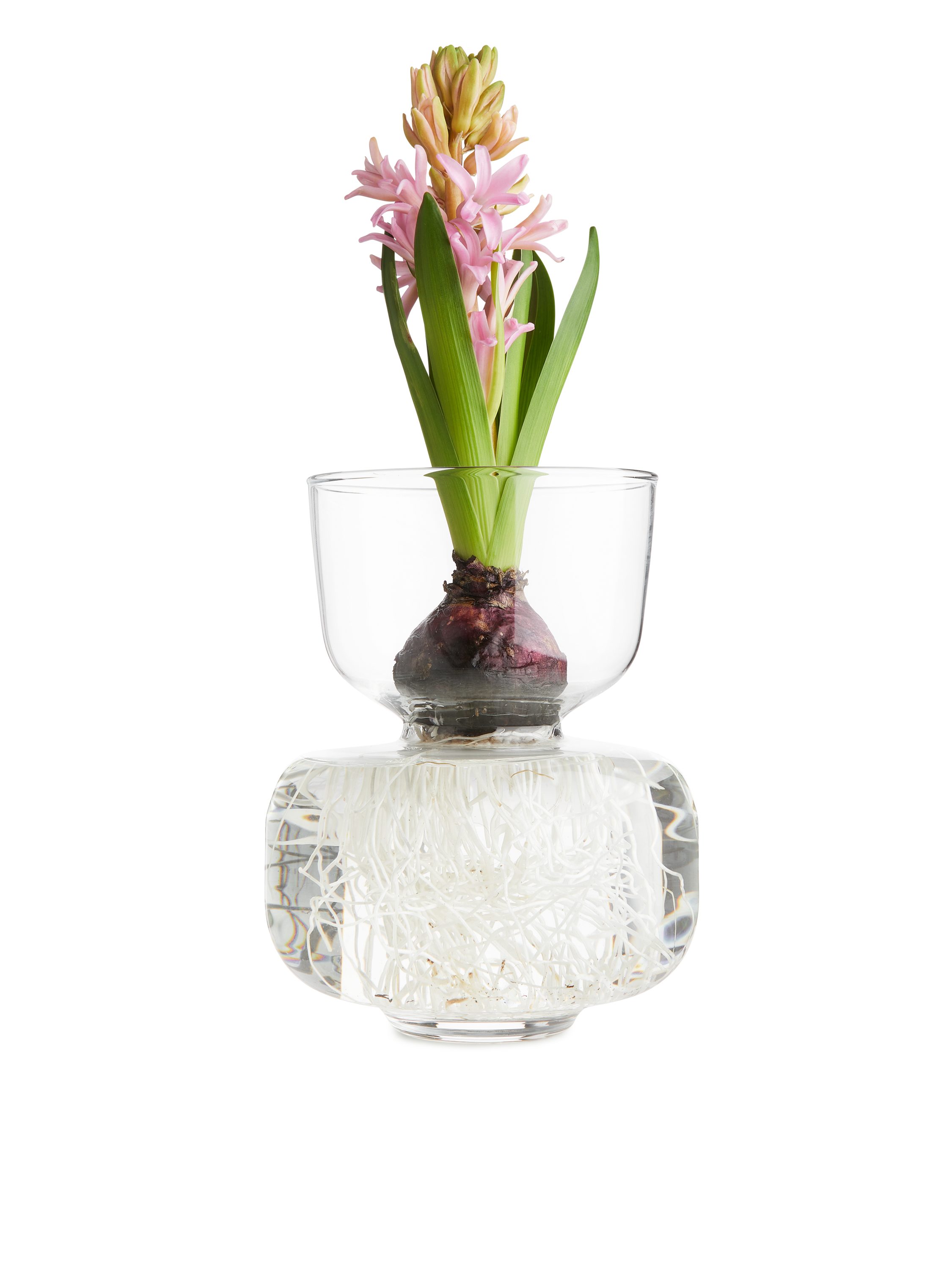 Glass Forcing Vase 17 cm – Clear Glass – Homeware – ARKET EU